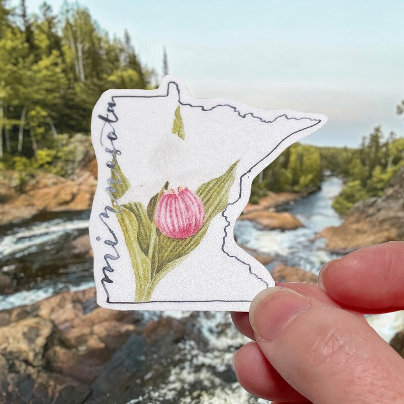 Pink Lady's Slipper - Etsy