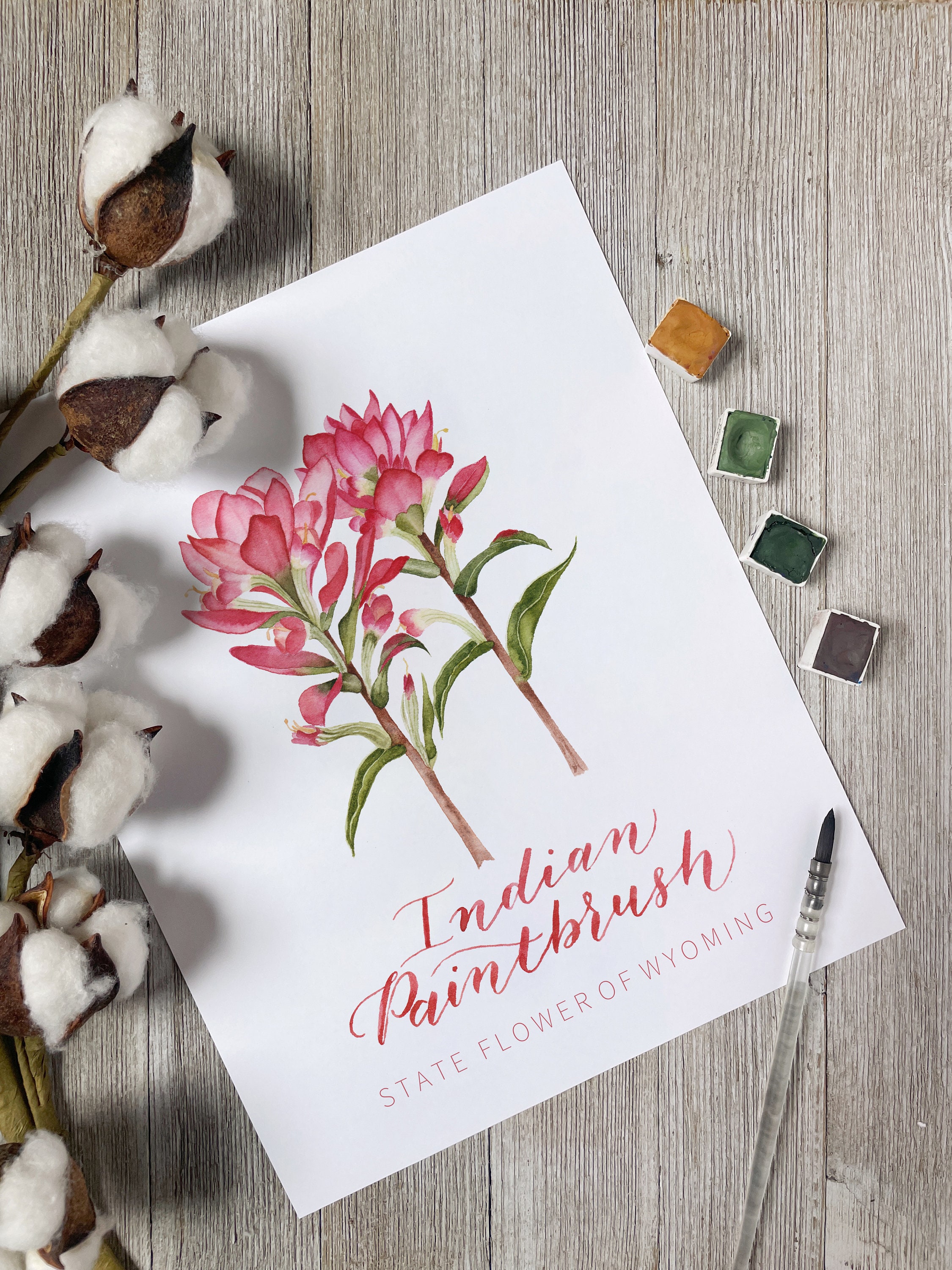 Wyoming State Flower and Shape Indian Paintbrush Watercolor - Etsy