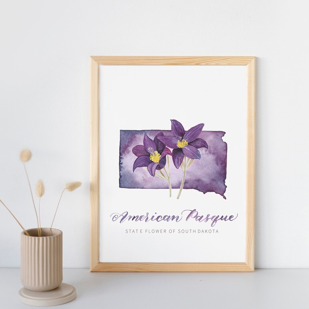 South Dakota State Flower and Shape Print | American Pasque Floral ...