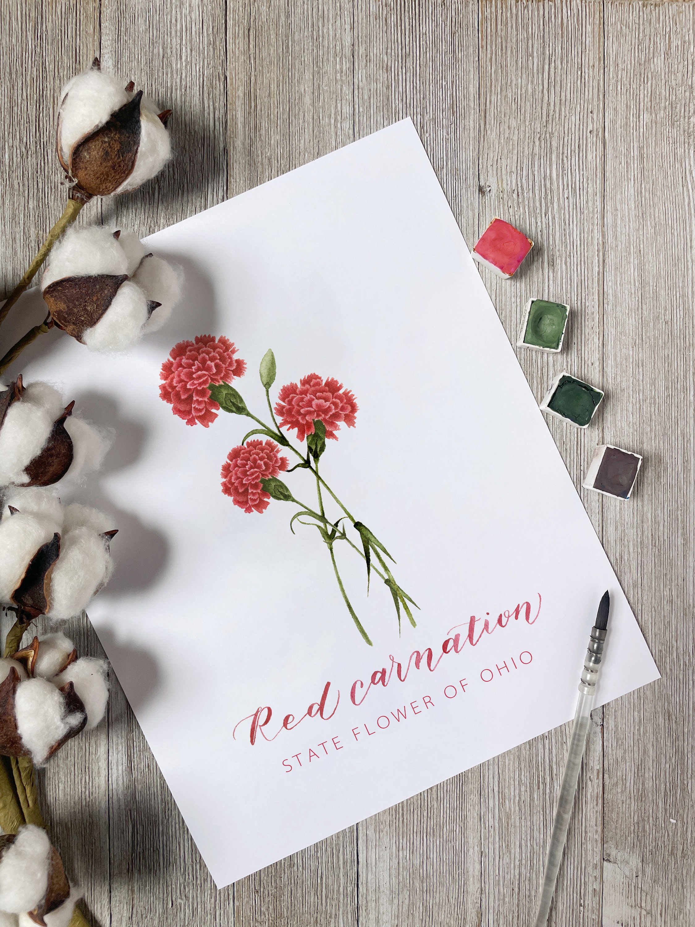 Ohio State Flower and Shape Red Carnation Watercolor - Etsy
