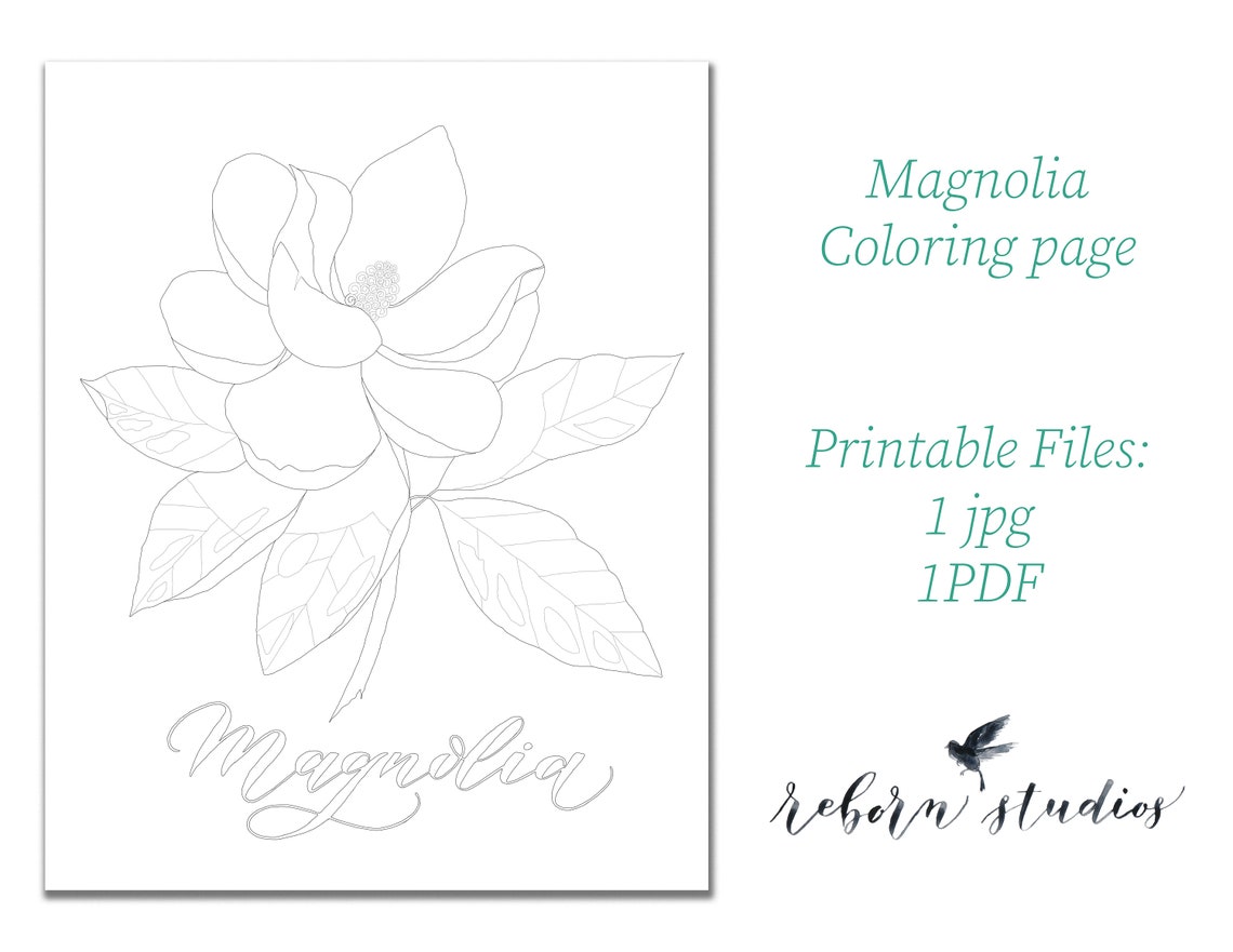 Magnolia Coloring Page Printable | Mississippi and Louisiana State ...