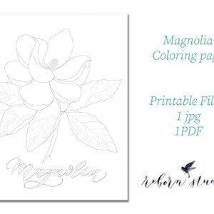 Magnolia Coloring Page Printable | Mississippi and Louisiana State ...