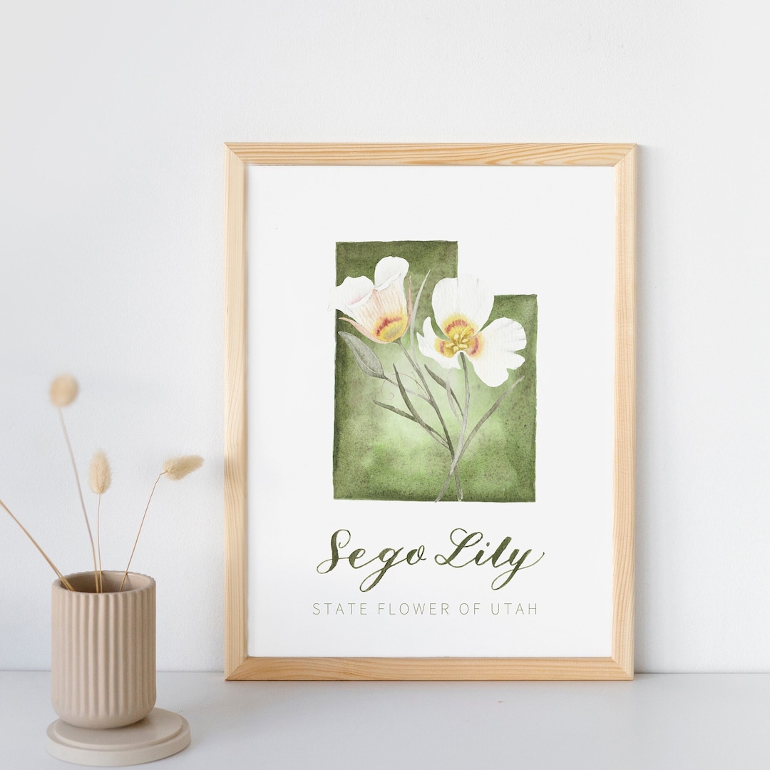 Utah State Flower and Shape | Sego Lily Watercolor Painting and ...
