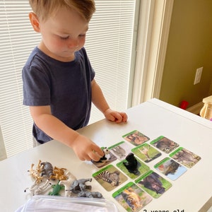 Toddler Matching Animal Game Laminated Flash Card Set for Montessori ...