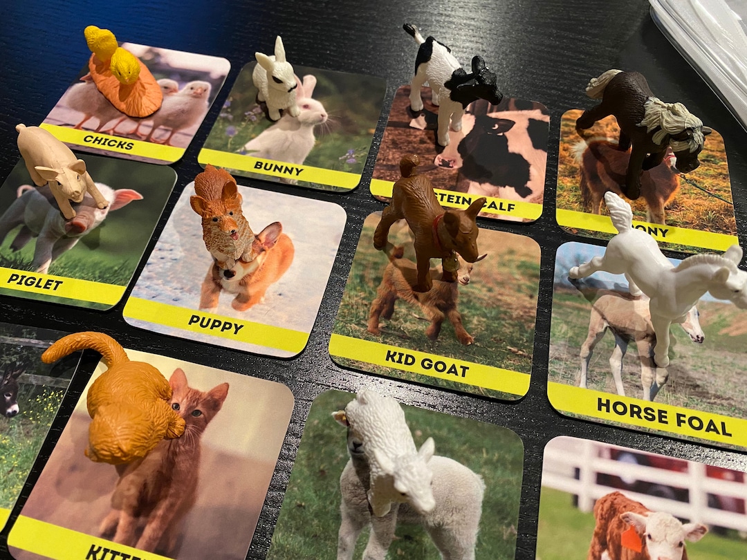 Montessori Matching Game for Toddler With Flash Cards of Farm Animals ...