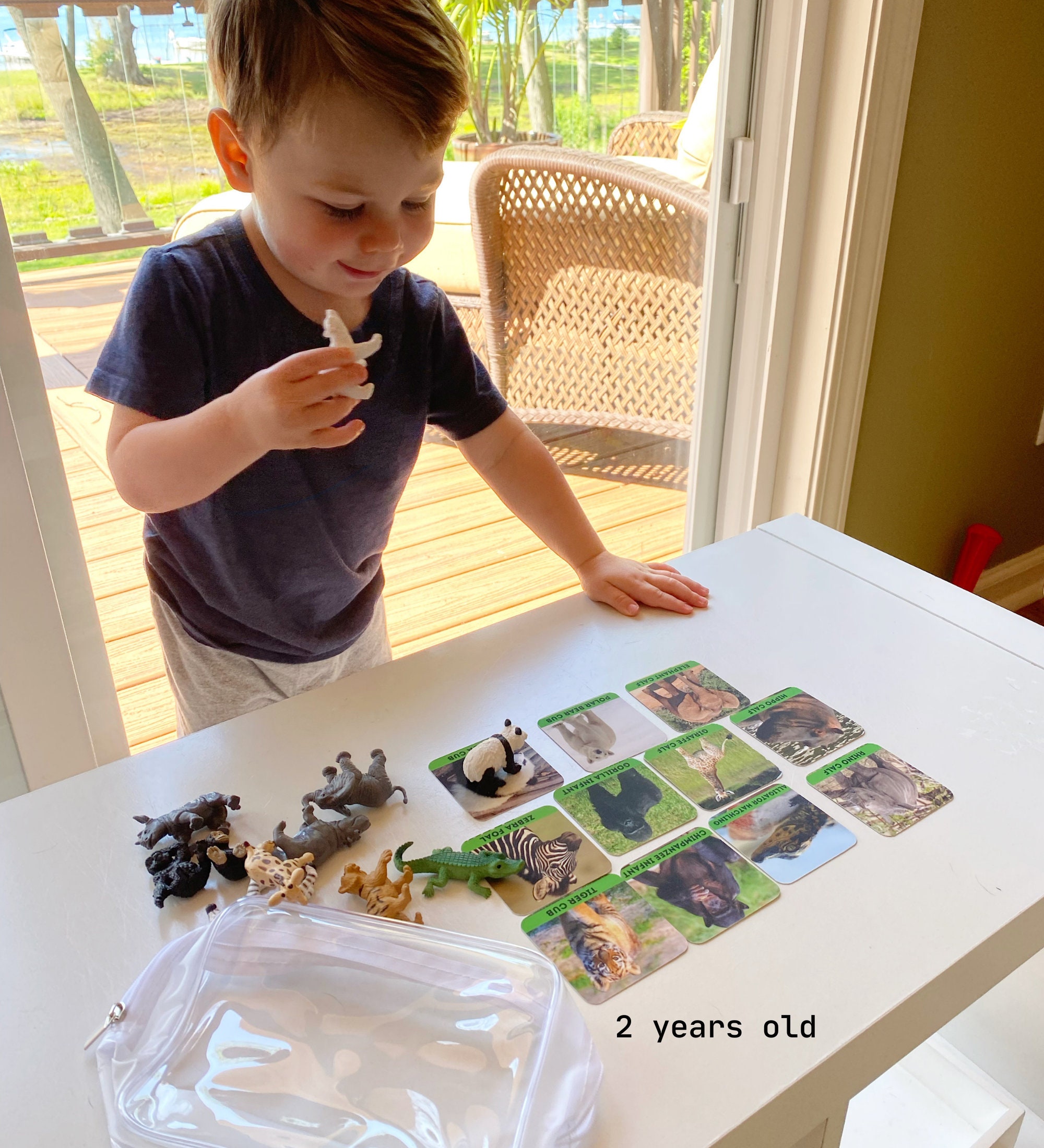 Zoo Animals | Montessori Matching Cards With Figurines | Preschool Gift ...