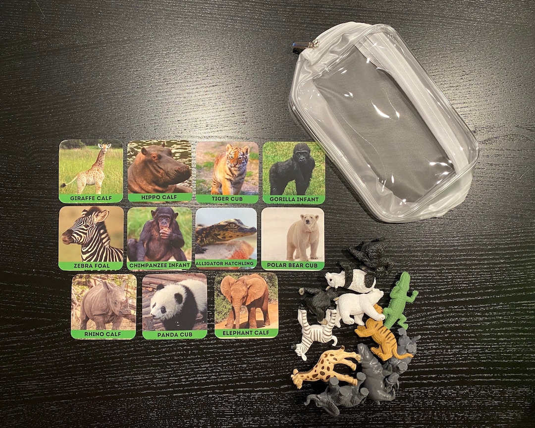 Zoo Animal Matching Game for Toddler With Montessori Style Flash Cards ...