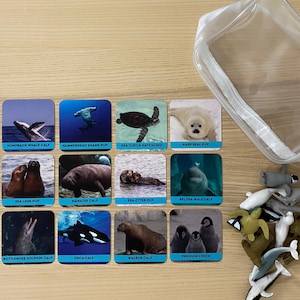 Toddler Matching Sea Animal Game Laminated Flash Card Set for ...