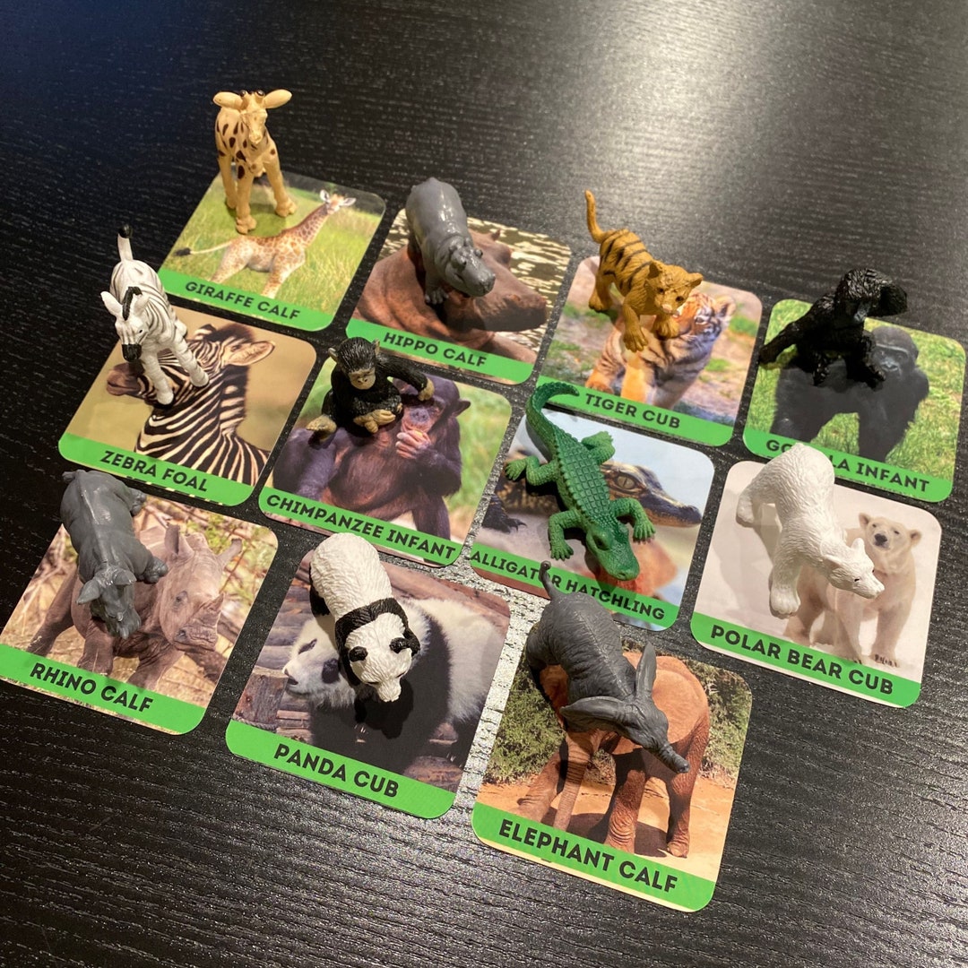 Montessori Matching Game Toy for Toddler With Flash Cards of Zoo ...