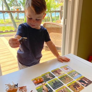 Montessori Toy Matching Game for Toddler With Flash Cards of Farm ...