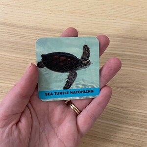 Toddler Matching Sea Animal Game Laminated Flash Card Set for ...