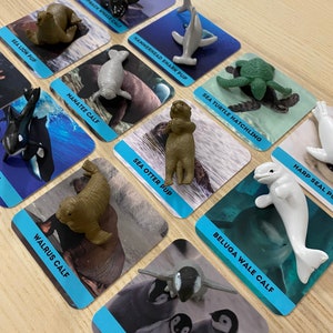Toddler Matching Sea Animal Game Laminated Flash Card Set for ...