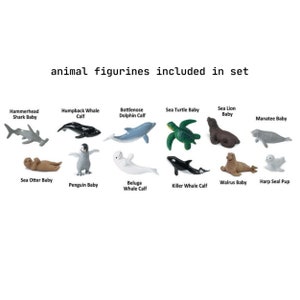 Toddler Matching Sea Animal Game Laminated Flash Card Set for ...