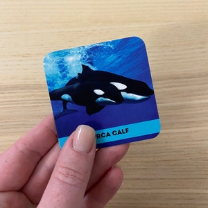 Toddler Matching Sea Animal Game Laminated Flash Card Set for ...