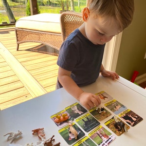 Montessori Toy Matching Game for Toddler With Flash Cards of Farm ...