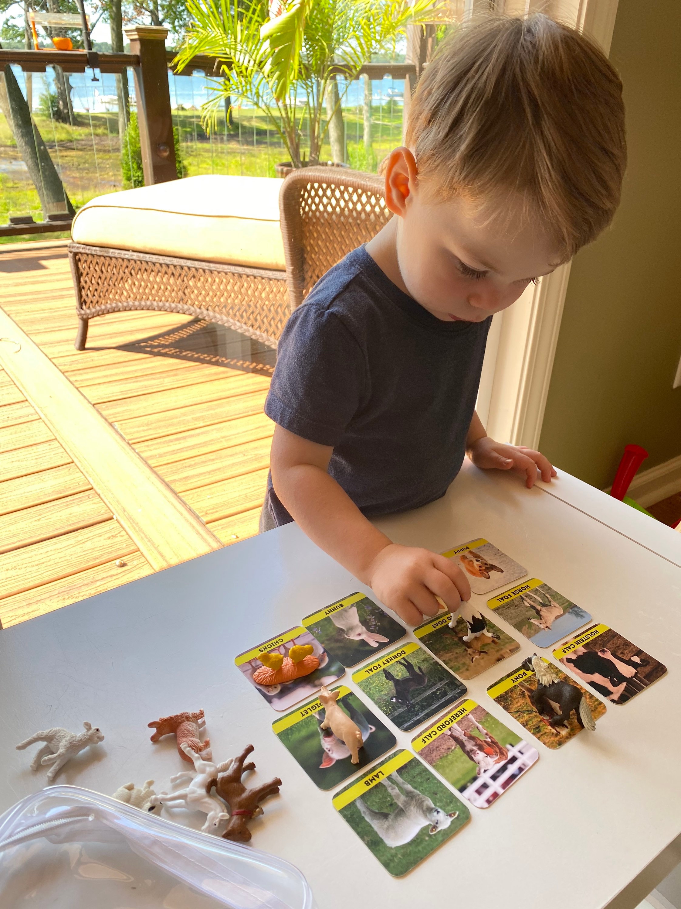 Toddler Matching Animal Game Laminated Petting Farm Flash Card Set for ...