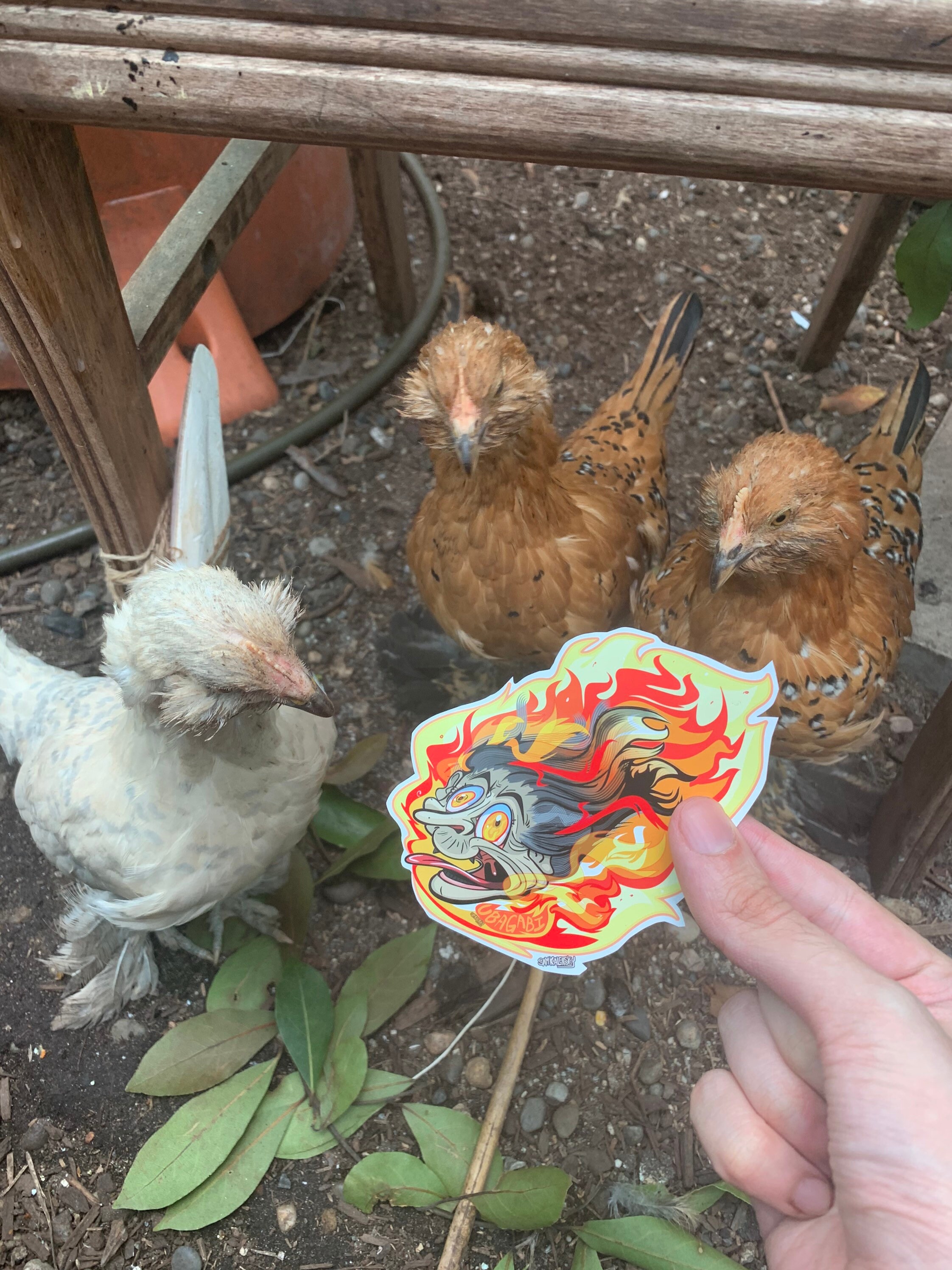 Ubagabi Old Fire Hag Yokai Sticker | Etsy Canada