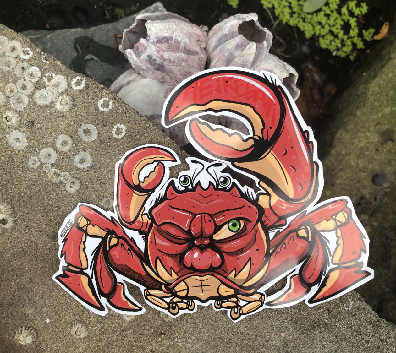 Heikegani Samurai Ghost Crab Stickers - Etsy