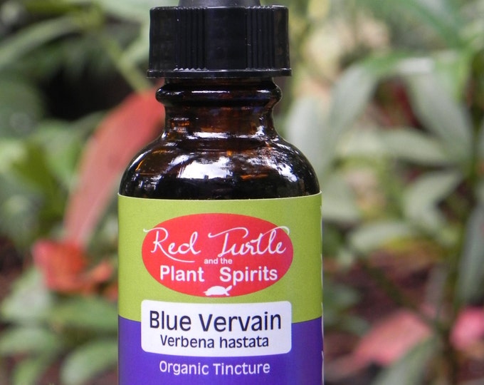 Blue Vervain Tincture Organic verbena Hastata - Etsy
