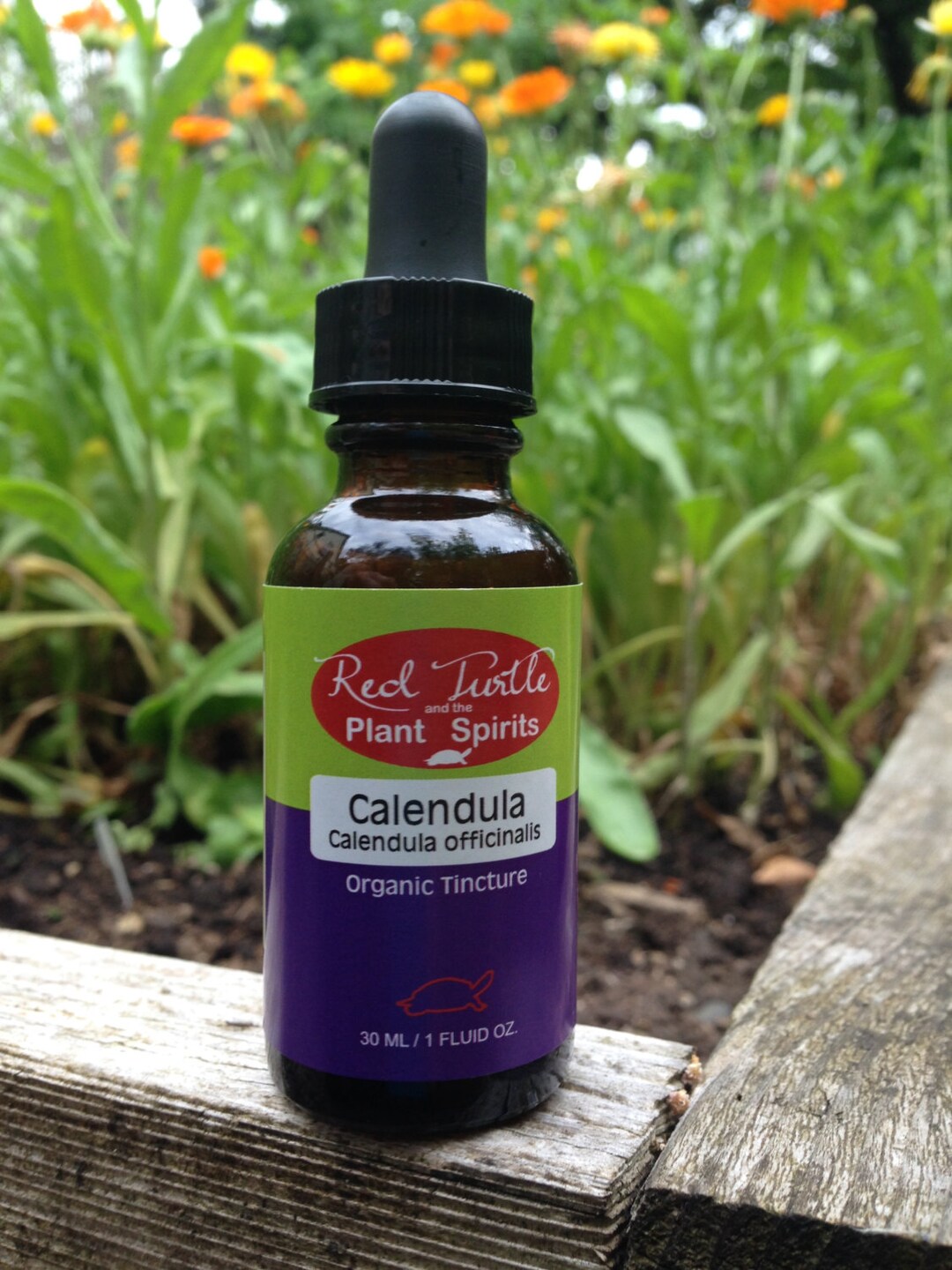 Calendula Tincture (calendula Officinalis), Organic - Etsy