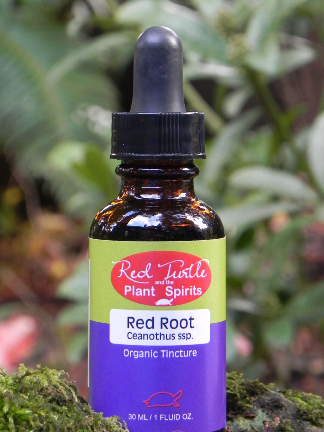 Red Root Tincture (ceanothus Spp), Organic - Etsy