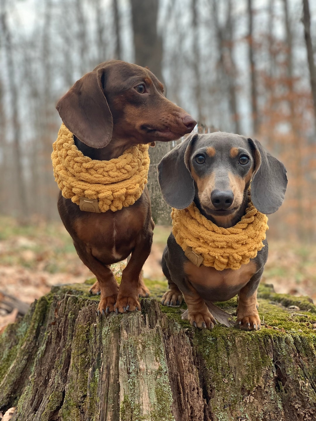 Crochet Dog Cowls Snood Doxie Toy Poodle Neck Warmer Dachshund Scarf ...