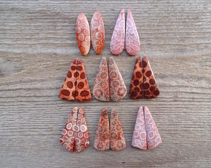 Pair Red Coral Fossil Cabochons, Fossil Coral Stone, Fossil Coral ...