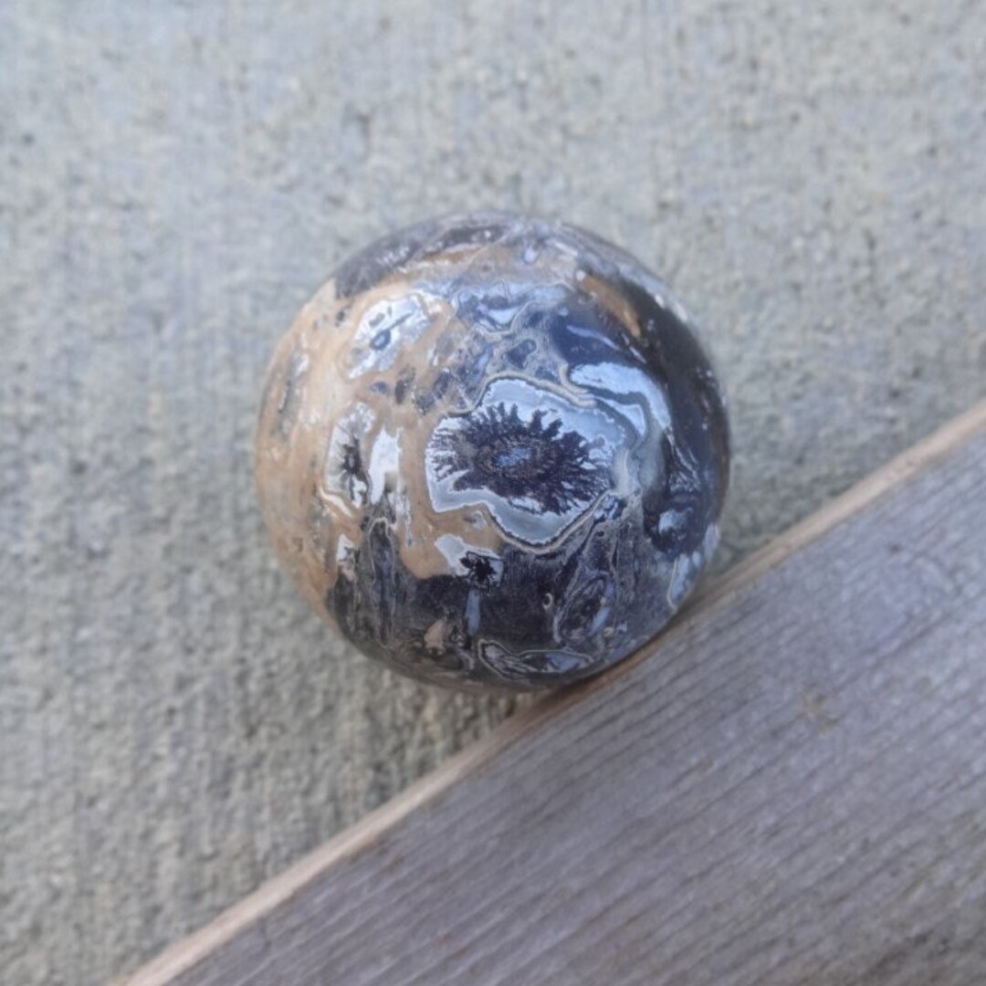Fossilized Palm Root Sphere 45mm, Petrified Wood Gemstone Sphere, Home ...