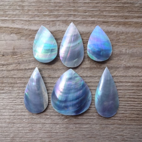 Blue Abalone Shell - Etsy