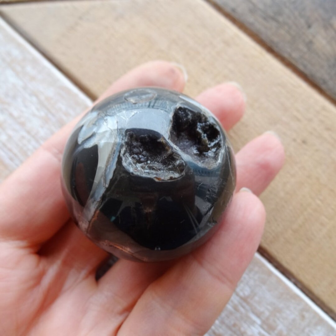 Pyritized Ammonite Fossil Coquina Snail Sphere 41mm, Geode Natural ...