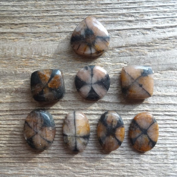 Stone Cabochon - Etsy