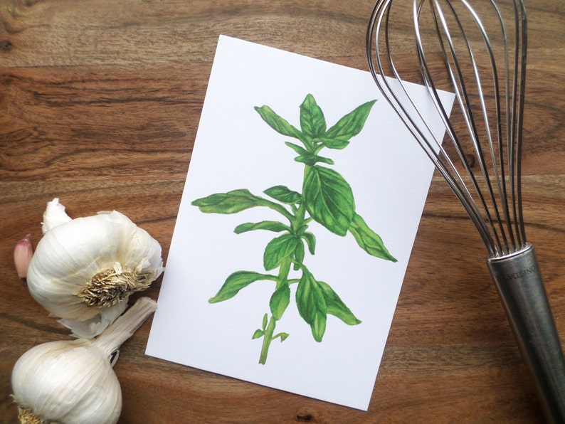Herb Watercolor Painting Print Basil | Etsy