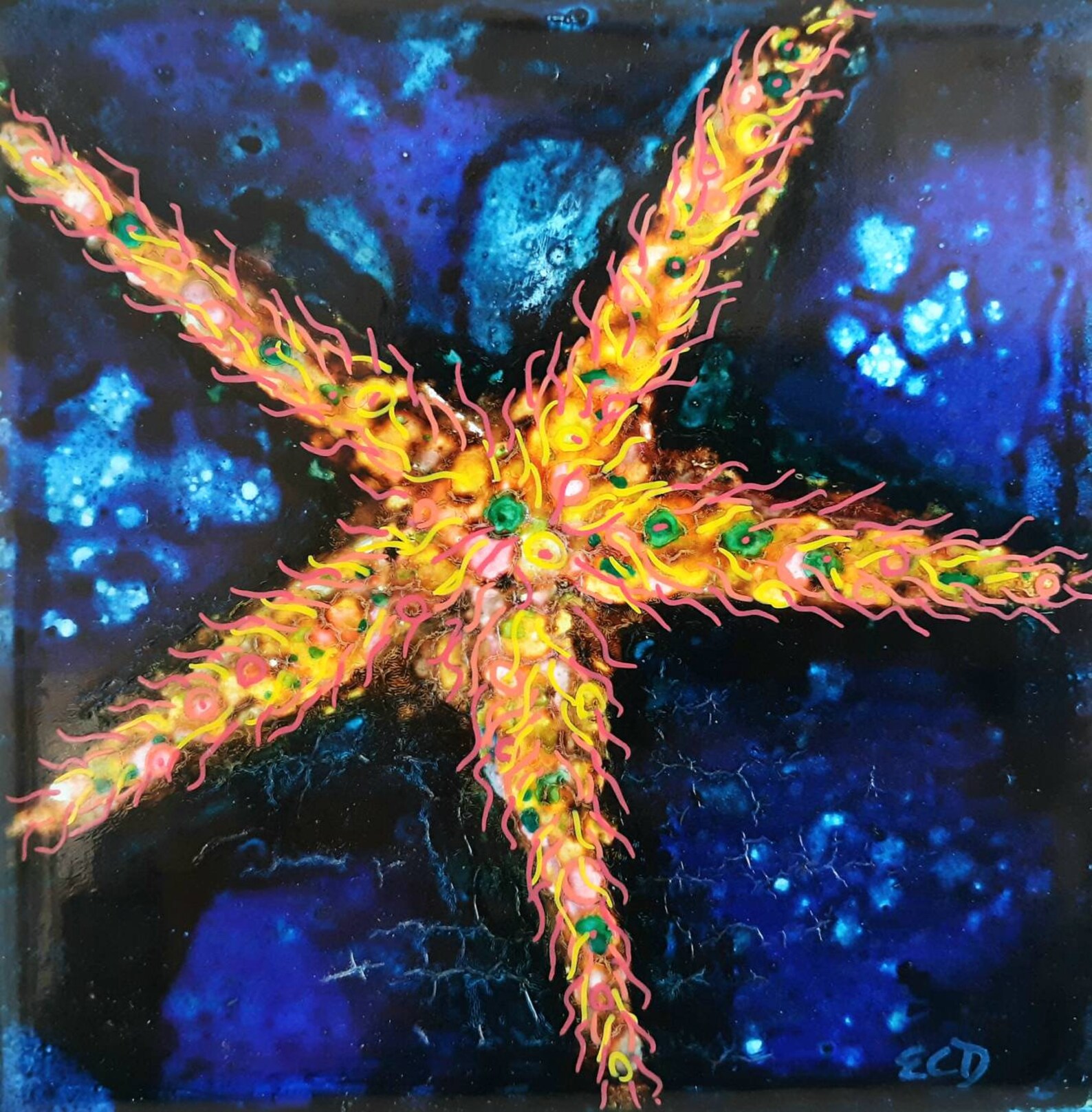 Starfish Ceramic Art Tile, 4.25 X 4.25 Art Tile Coaster, Starfish ...