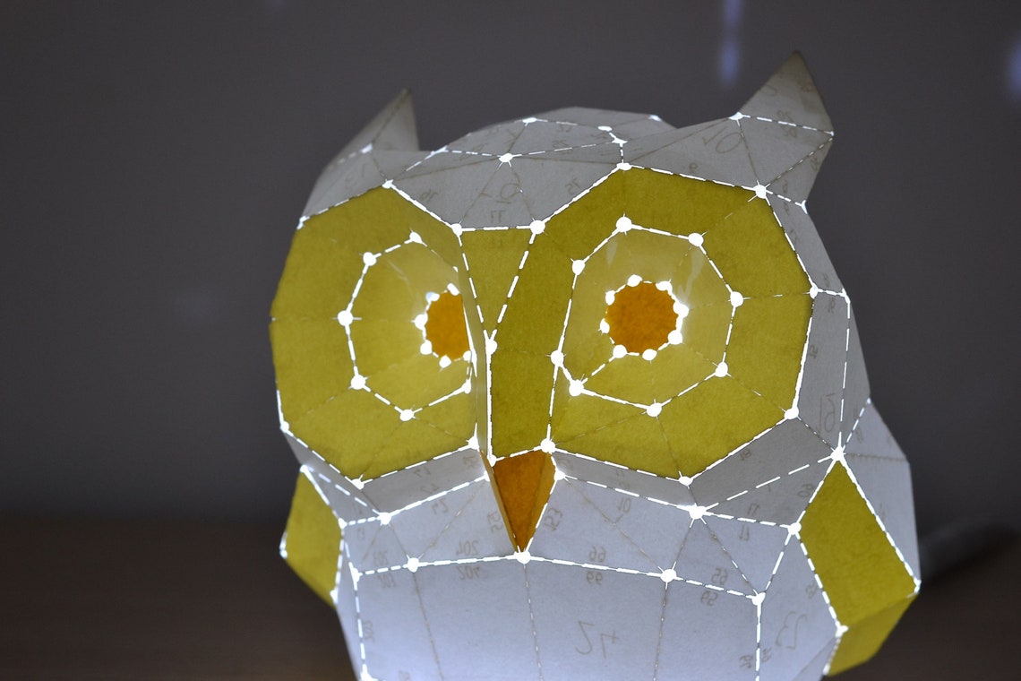 Little Owl DIY Paper Lamp Craft Kit,creative Paper Lamp Shade,3d ...