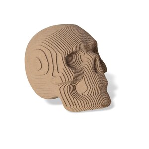 Small Size Styled Human Skull Cardboard Sculpture, DIY Dragon Ball 3D ...
