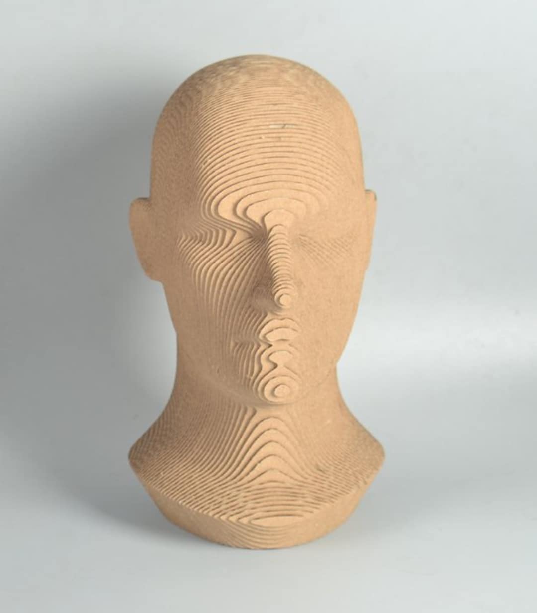 Human Head - DIY Cardboard Sculpture, DIY Papercraft, 3D Paper Art，home ...