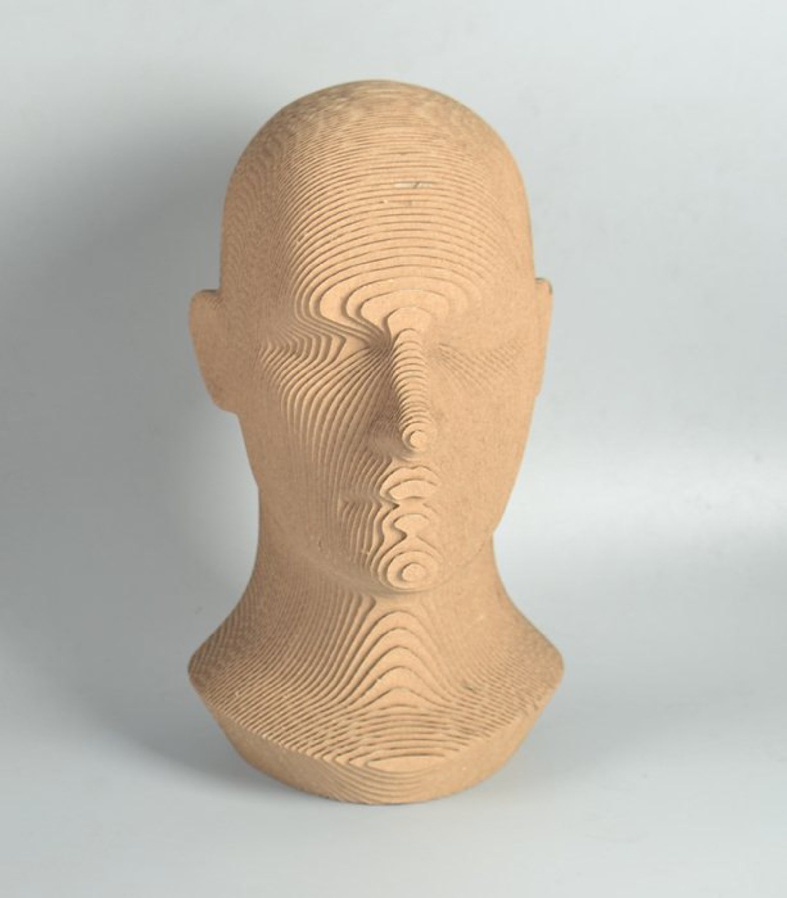 Human Head DIY Cardboard Sculpture DIY Papercraft 3D Paper - Etsy