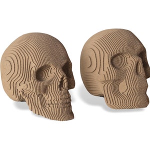 Small Size Human Skull Cardboard Sculpture, DIY 3D Papercraft Kit, 3D ...