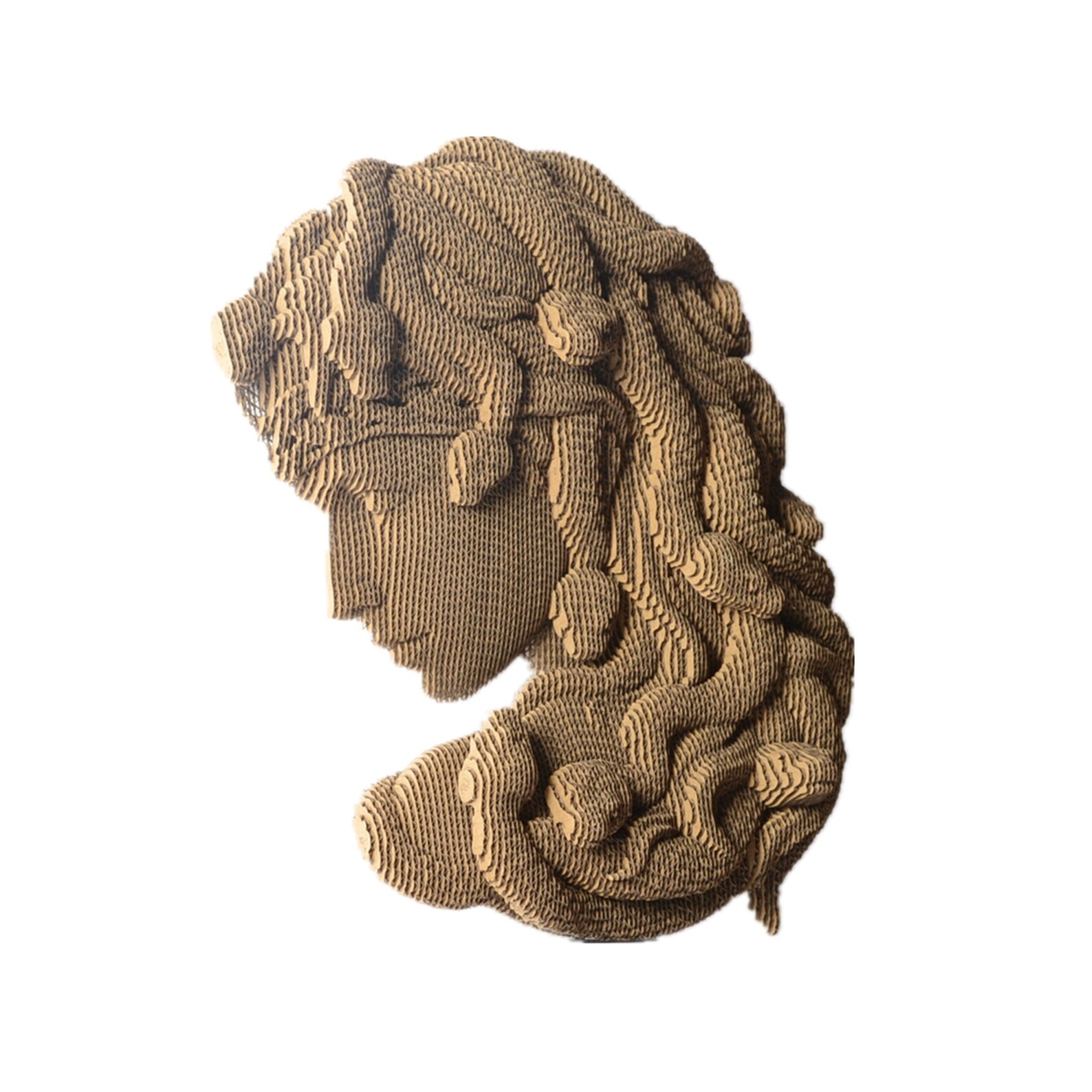 Medusa Bas Relief DIY Cardboard Culpture DIY Papercraft 3D | Etsy