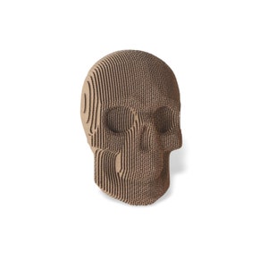 Small Size Styled Human Skull Cardboard Sculpture, DIY Dragon Ball 3D ...