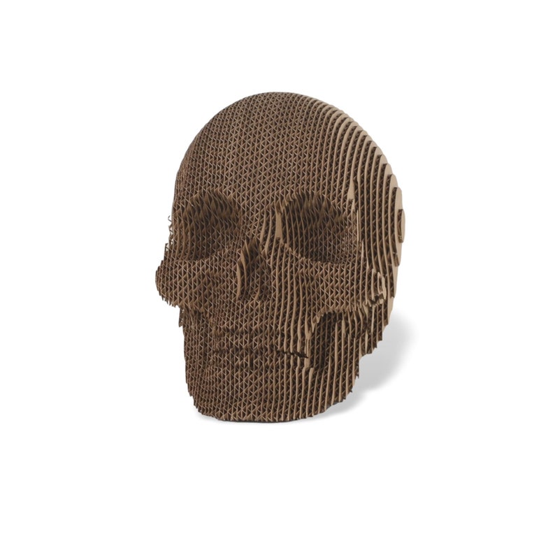 Small Size Human Skull Cardboard Sculpture, DIY 3D Papercraft Kit, 3D ...