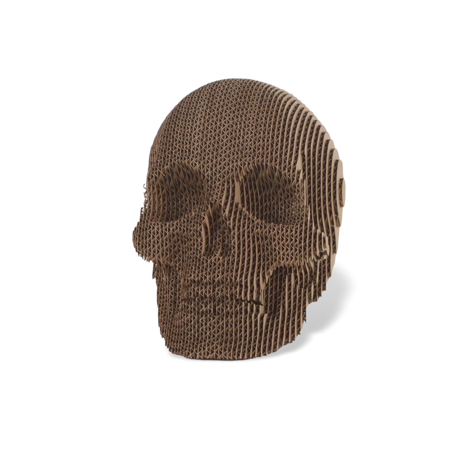 Small Size Human Skull Cardboard Sculpture DIY 3D Papercraft - Etsy UK