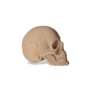 Escultura de cartón cráneo humano de tamaño pequeño, kit de papel DIY ...
