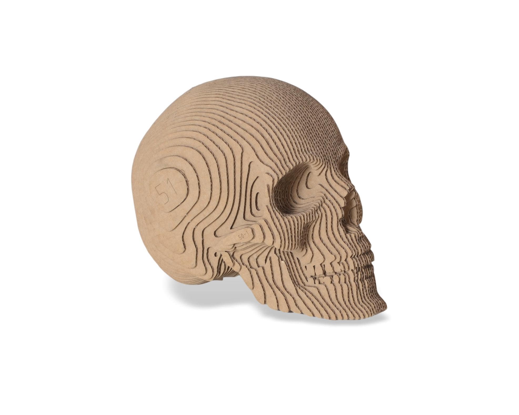 Small Size Human Skull Cardboard Sculpture DIY 3D Papercraft - Etsy UK