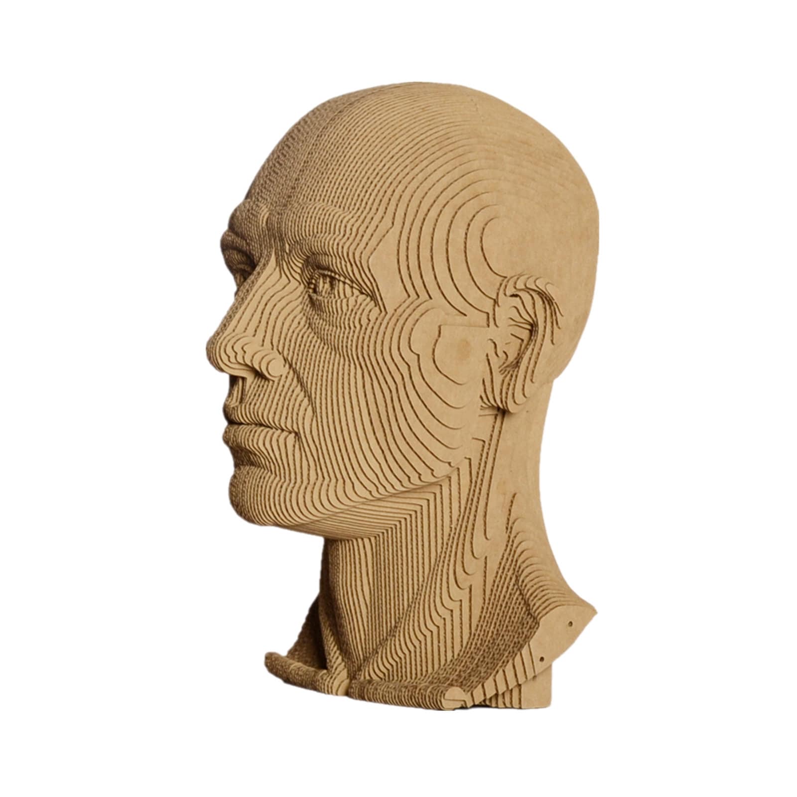 Human Head DIY Cardboard Culpture DIY Papercraft 3D Paper - Etsy
