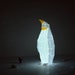 King Penguin DIY Paper Lamp Craft Kitcreative Paper Lamp - Etsy