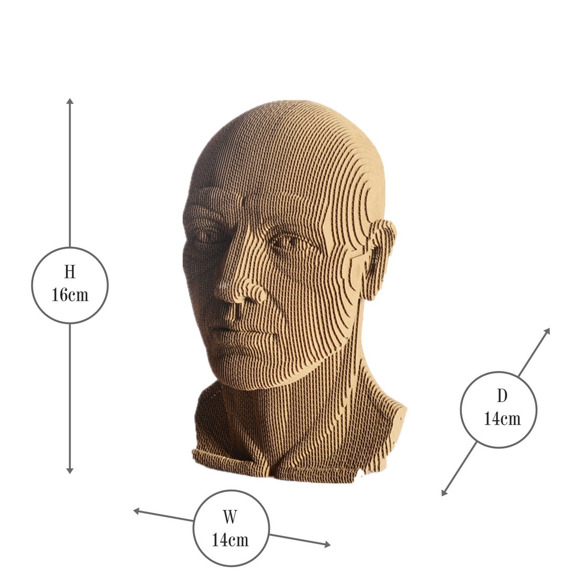 Human Head DIY Cardboard Culpture DIY Papercraft 3D Paper - Etsy