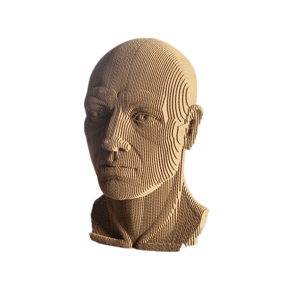 Human Head DIY Cardboard Culpture DIY Papercraft 3D Paper - Etsy