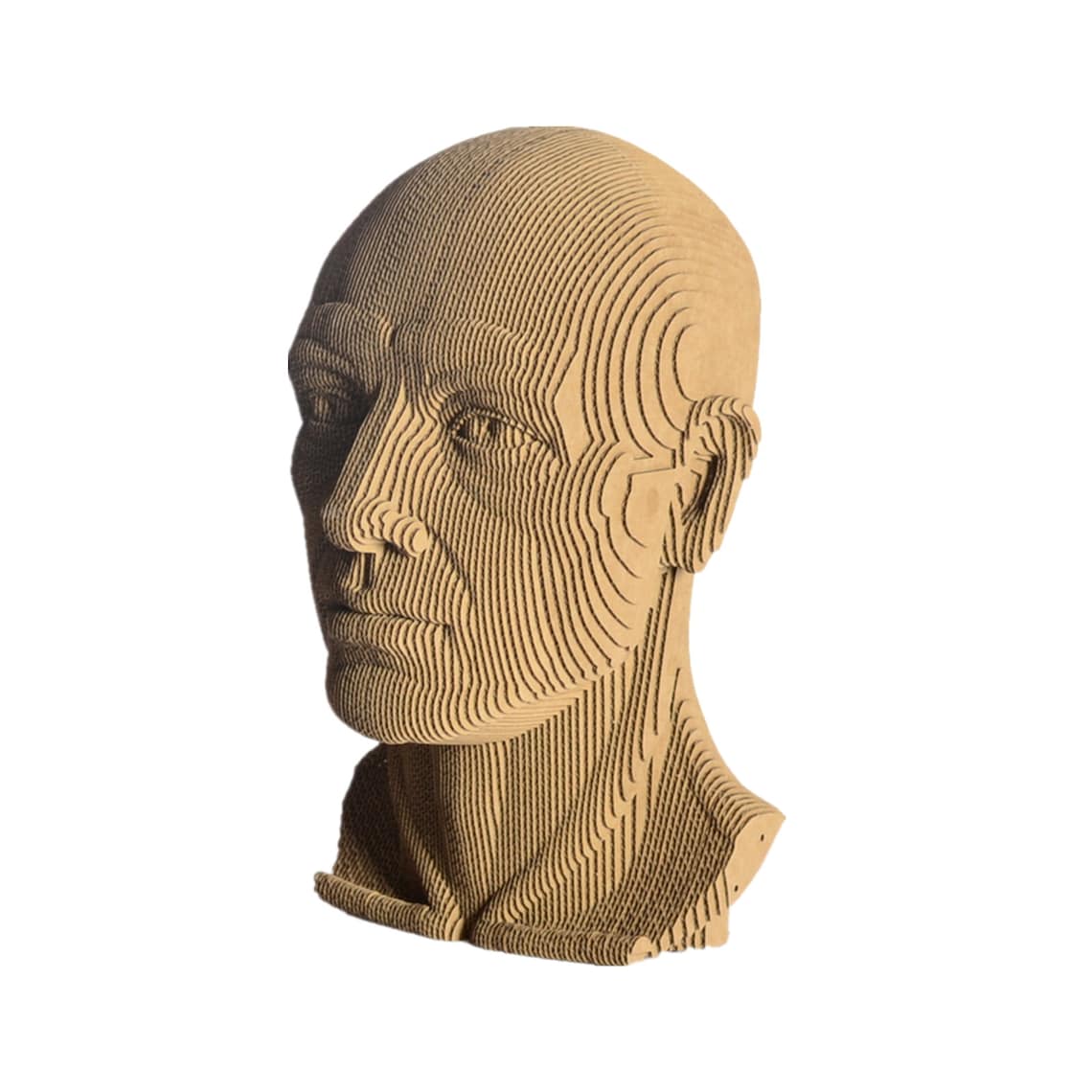 Human Head - DIY Cardboard Culpture, DIY Papercraft, 3D Paper Art，home ...