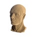 Human Head - DIY Cardboard Culpture, DIY Papercraft, 3D Paper Art，home ...